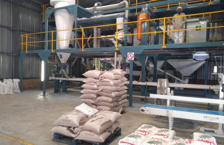 Fieldwork blog: The maize value chain in Eastern Cape, South Africa ...